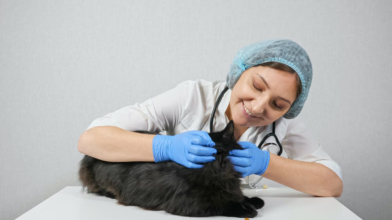 Dermatologista Para Pets: Saiba Como Escolher O Melhor Cuidado Para Seu ...